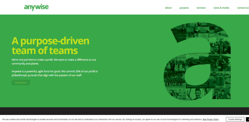 Sustainable Consulting in Australia | Anywise's Impact