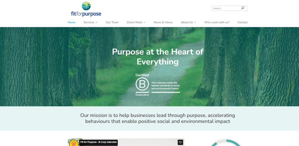 Fit for Purpose - Transforming Business Through Purpose and Sustainability
