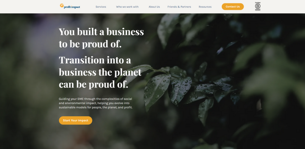 Profit Impact Logo - Empowering SMEs with Sustainable Business Strategies