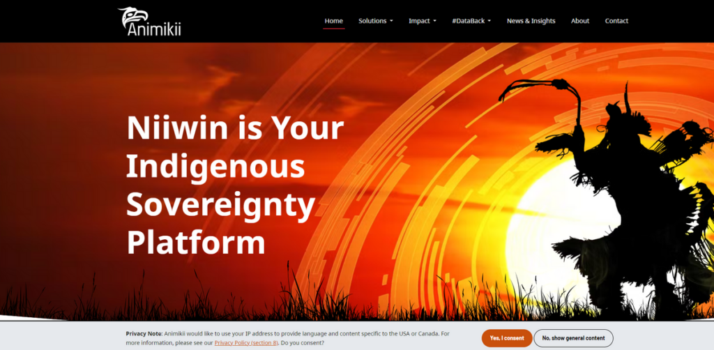 NIIWIN - Indigenous Sovereignty Platform for Cultural Preservation