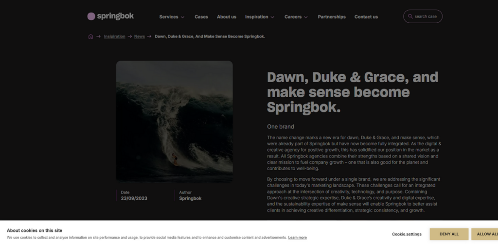 Springbok - A Unified Brand for Creative and Digital Excellence