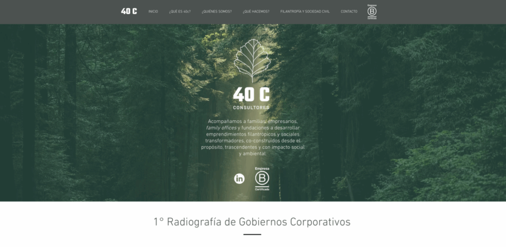 40 C Project - Empowering Philanthropy and Social Impact