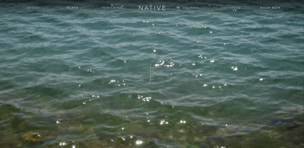 Discover Native Ballydehob: Sustainable Accommodation and Rewilding in ...