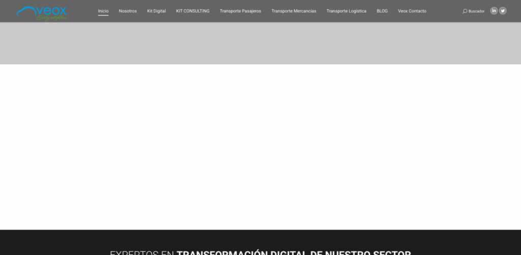 VEOX: Transforming Transportation with Tailored Digital Solutions